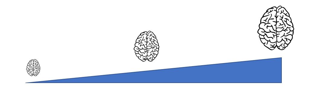 Why do we get so Trumped on the difference between stupidity and genius ...